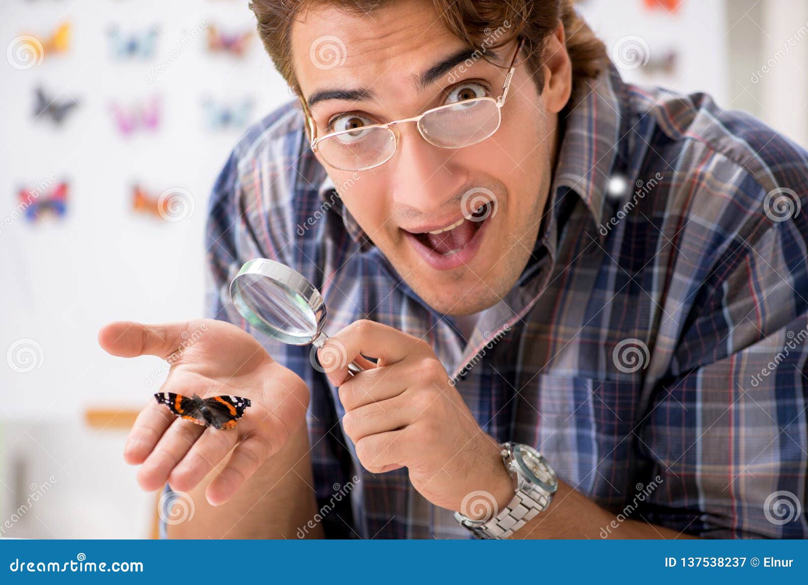 The Student Entomologist Studying New Species of Butterflies Stock ...