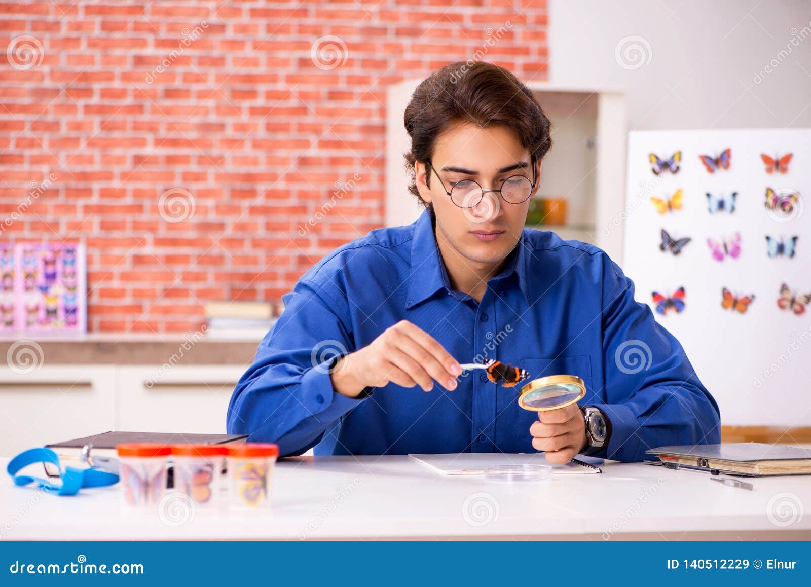 The Student Entomologist Studying New Species of Butterflies Stock ...