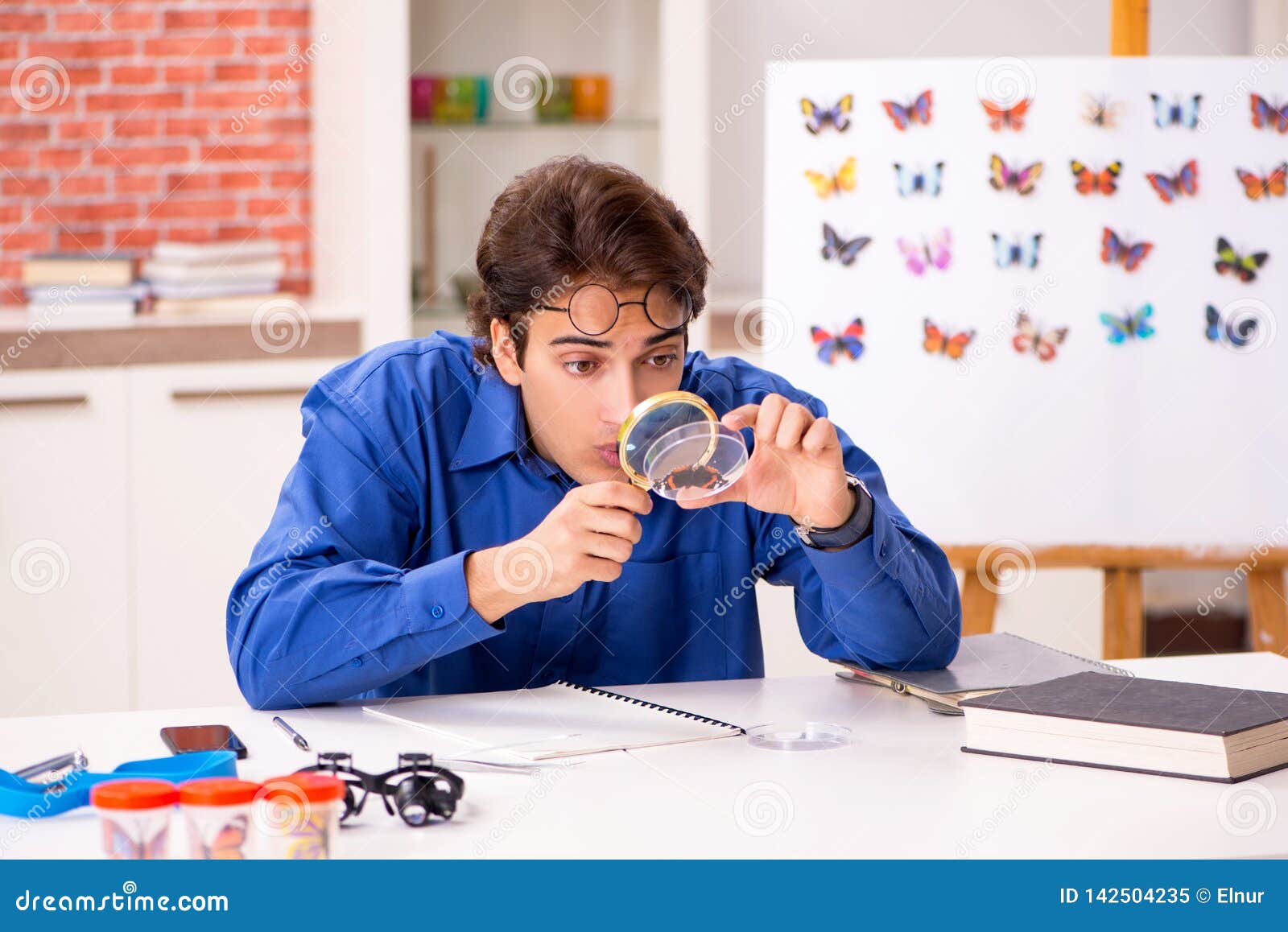 The Student Entomologist Studying New Species of Butterflies Stock ...