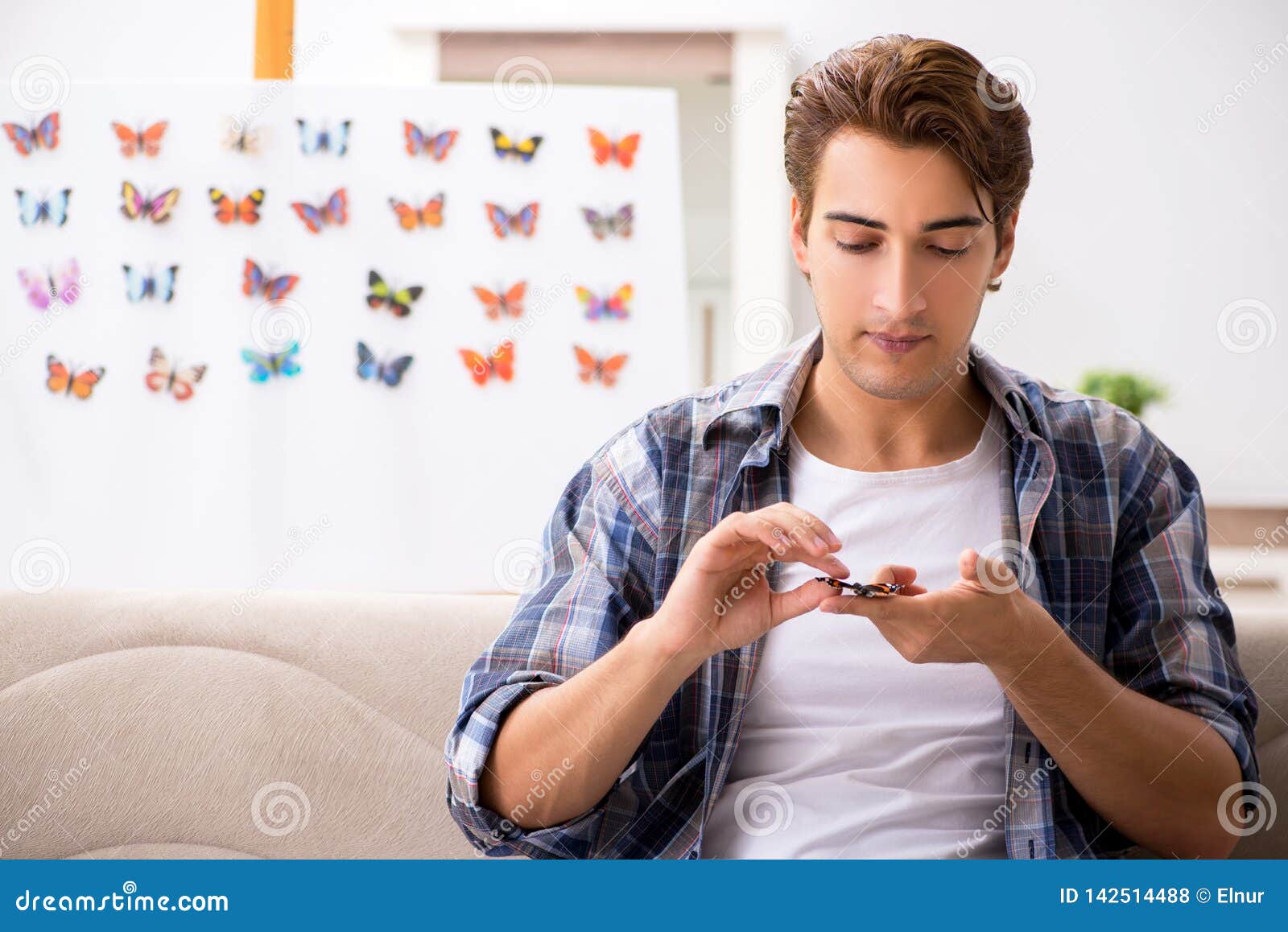 The Student Entomologist Studying New Species of Butterflies Stock ...