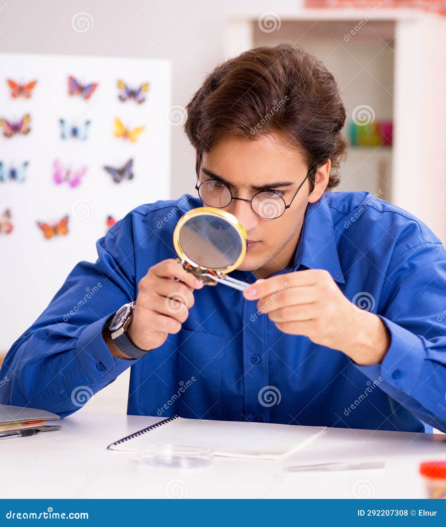 Student Entomologist Studying New Species of Butterflies Stock Photo ...