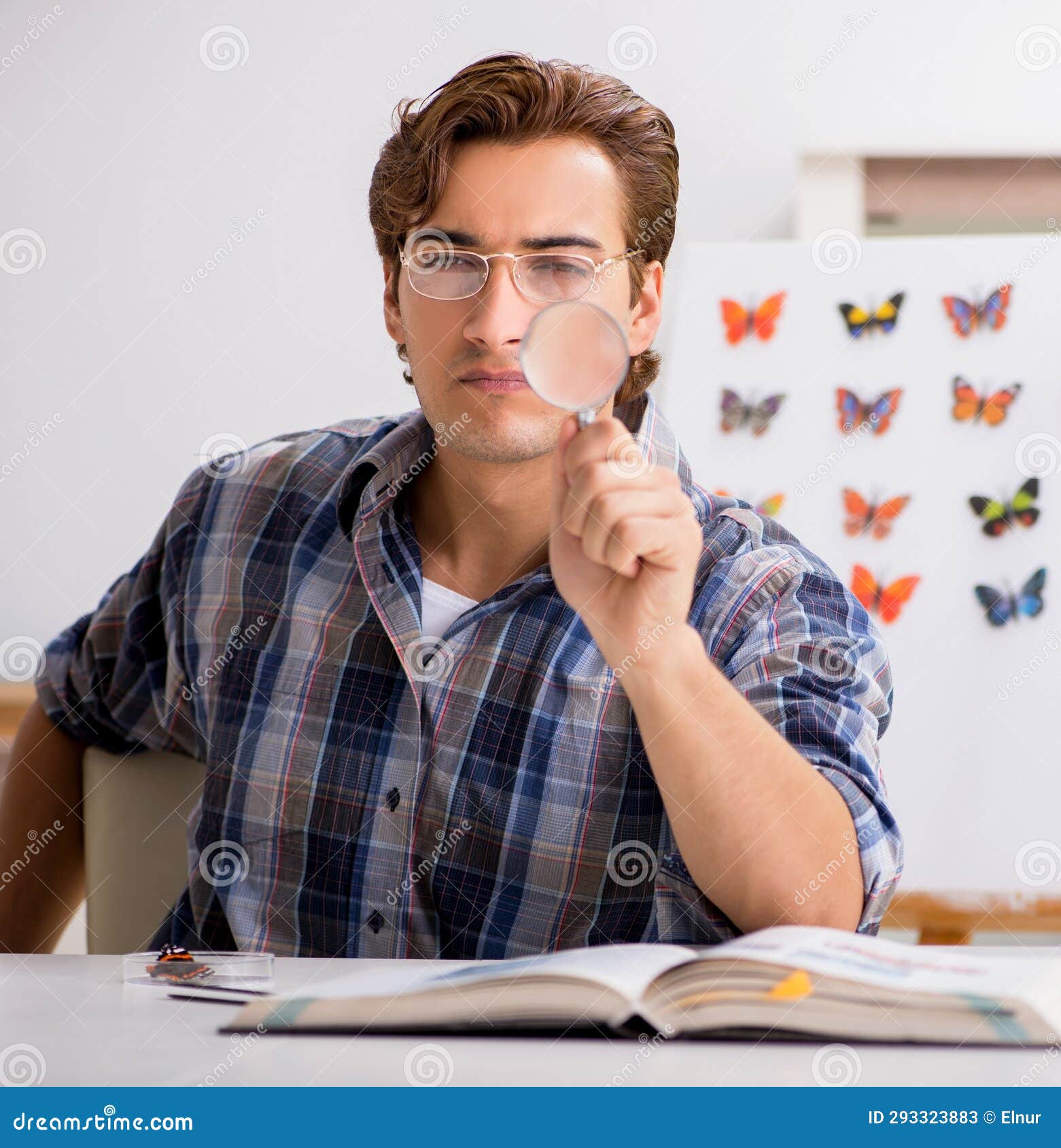 Student Entomologist Studying New Species of Butterflies Stock Image ...