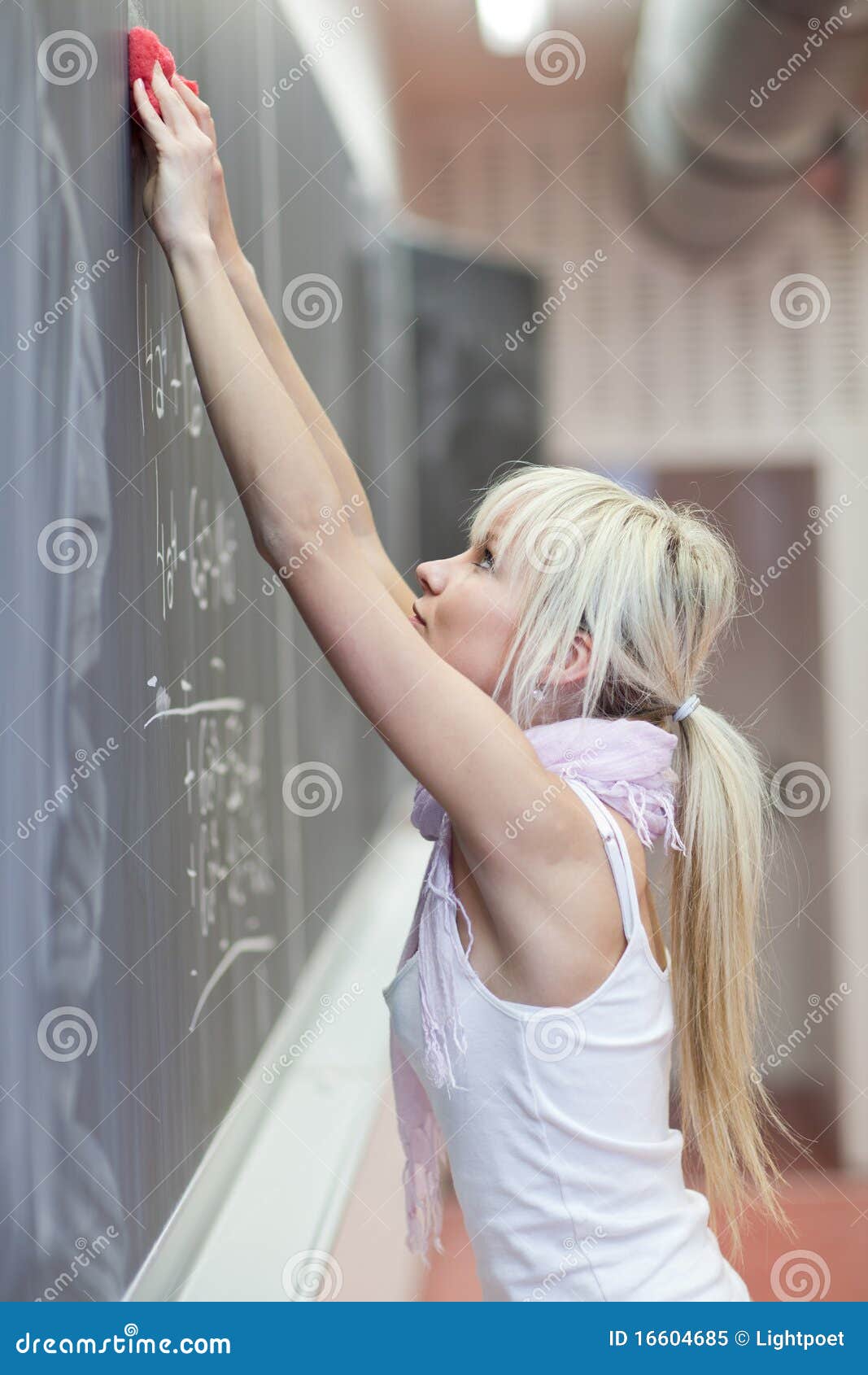 Student Erasing the Chalkboard Stock Image - Image of female, caucasian ...