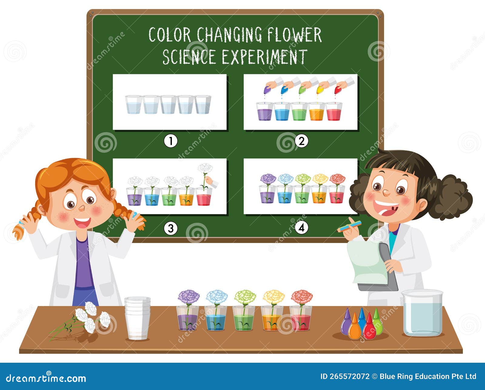 Student Explaining Color Changing Flower Science Experiment Stock ...