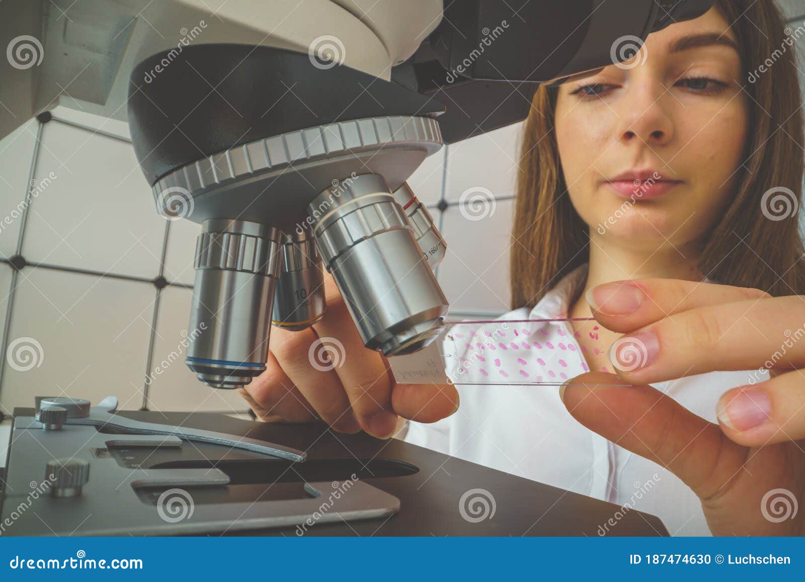 Student Girl Looking in a Microscope, Science Laboratory Concept Stock ...
