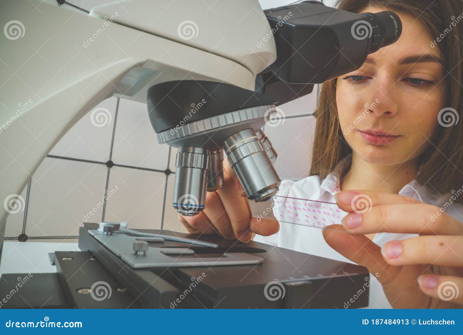 Student Girl Looking in a Microscope, Science Laboratory Concept Stock ...