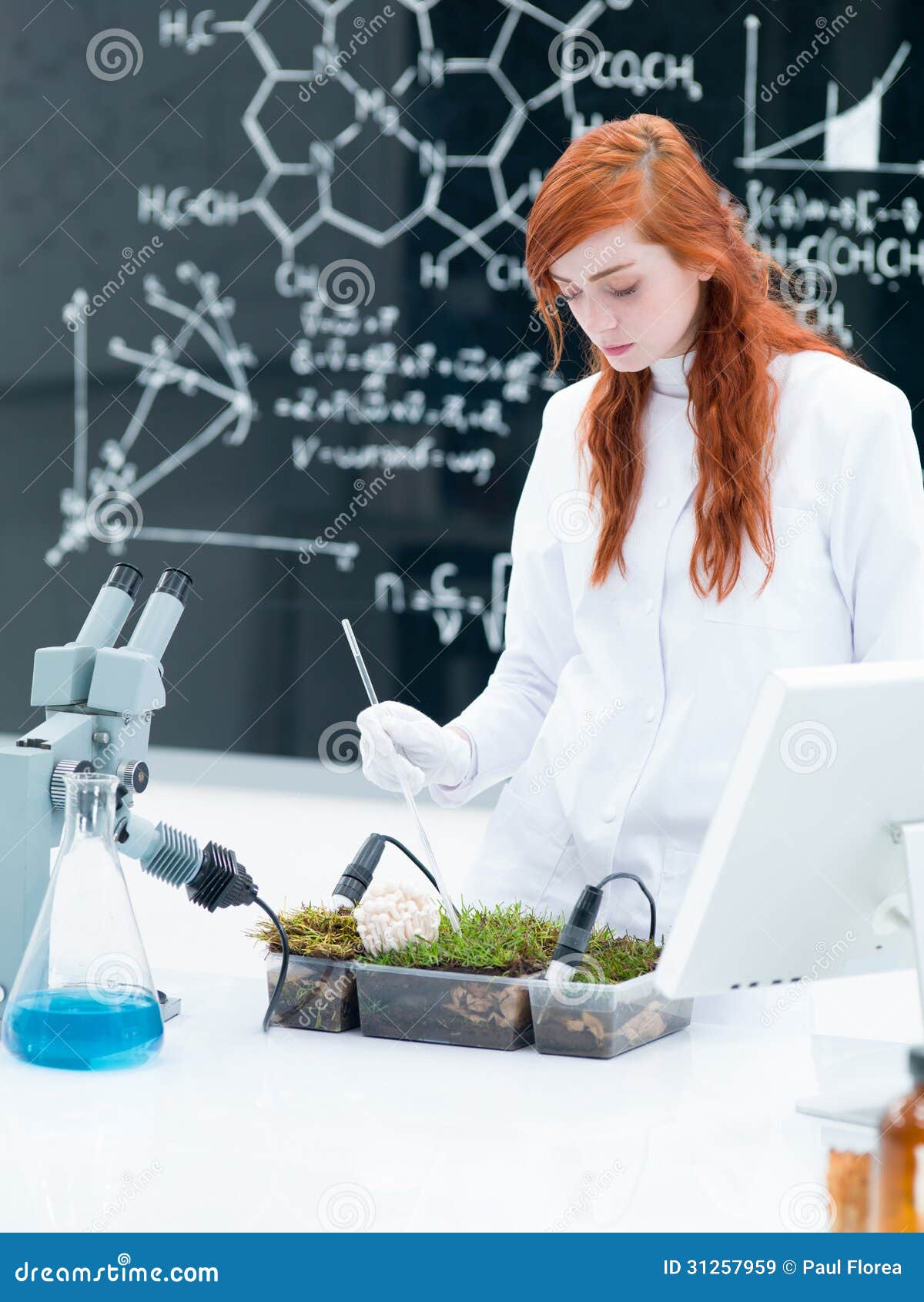 Student grass experiment stock image. Image of ecology - 31257959