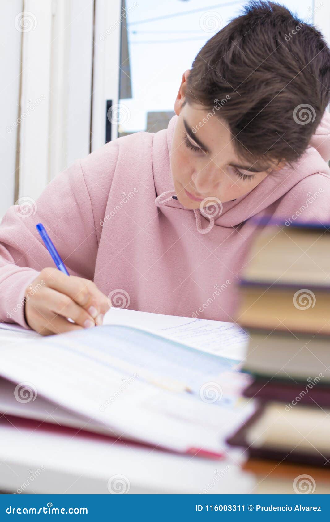 Student at the Home or School Stock Image - Image of house, learning ...
