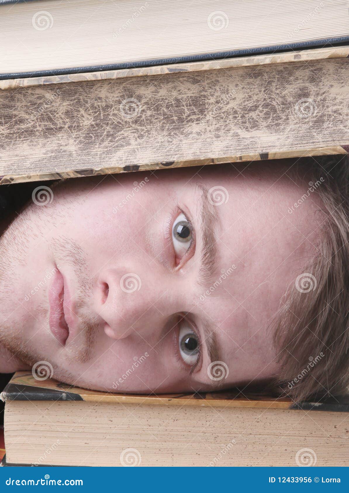 Student Inundated with Study and Books Stock Photo - Image of exam ...