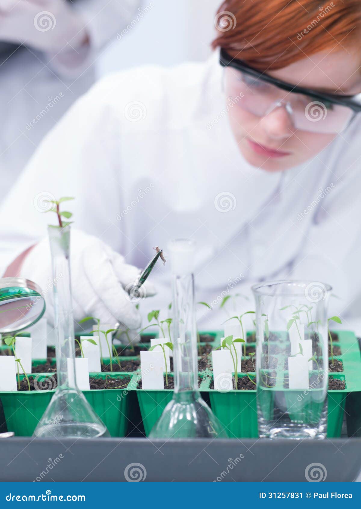 Student lab experiment stock image. Image of energy, glove - 31257831
