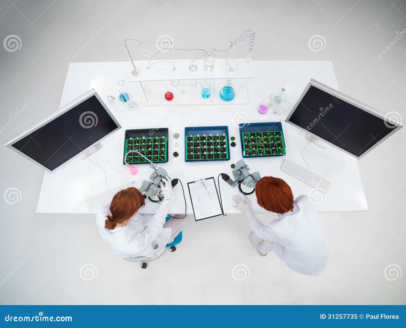 Student Laboratory Experiment Stock Image - Image of copyspace ...