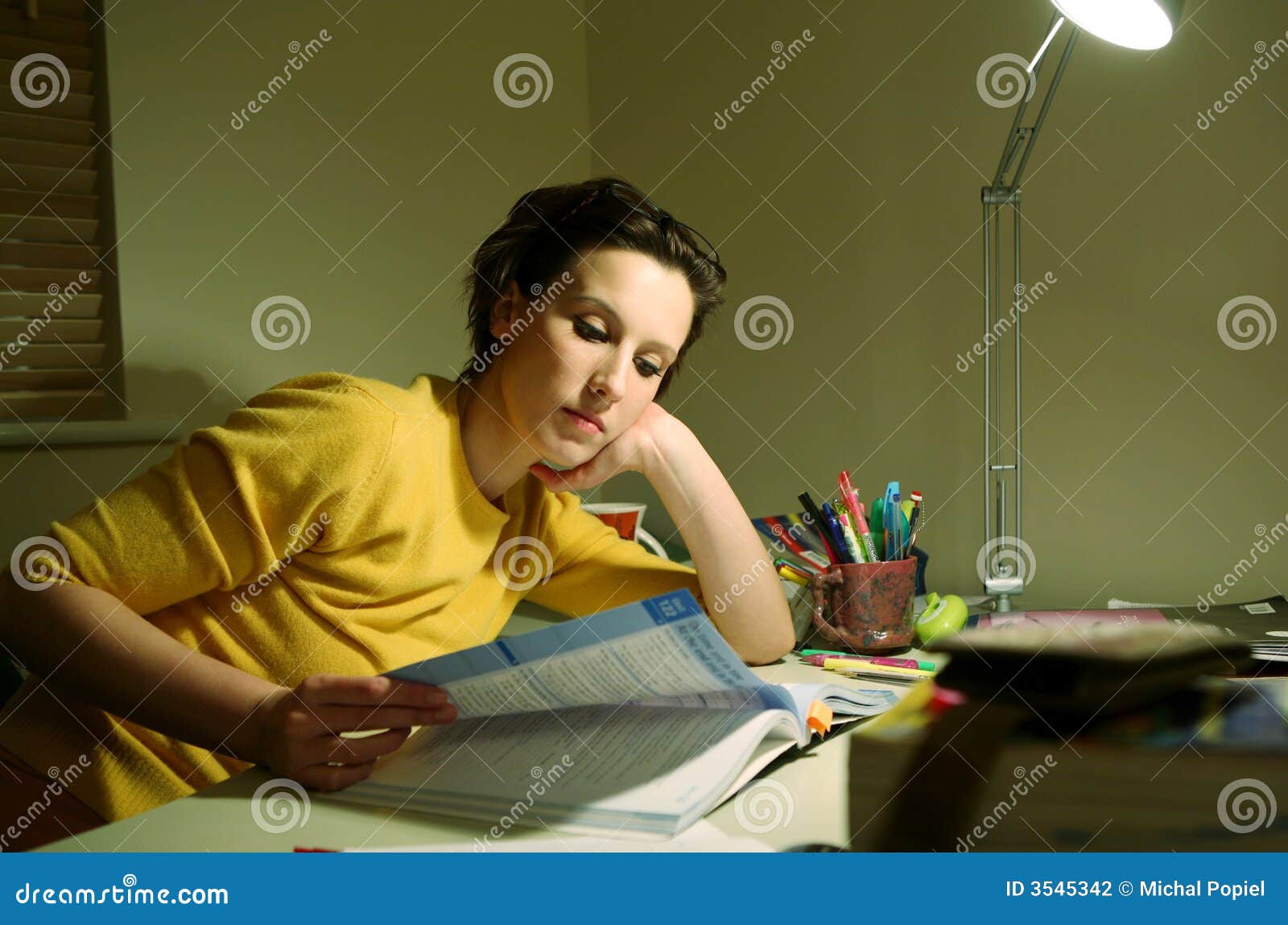 Student Learning Picture. Image: 3545342