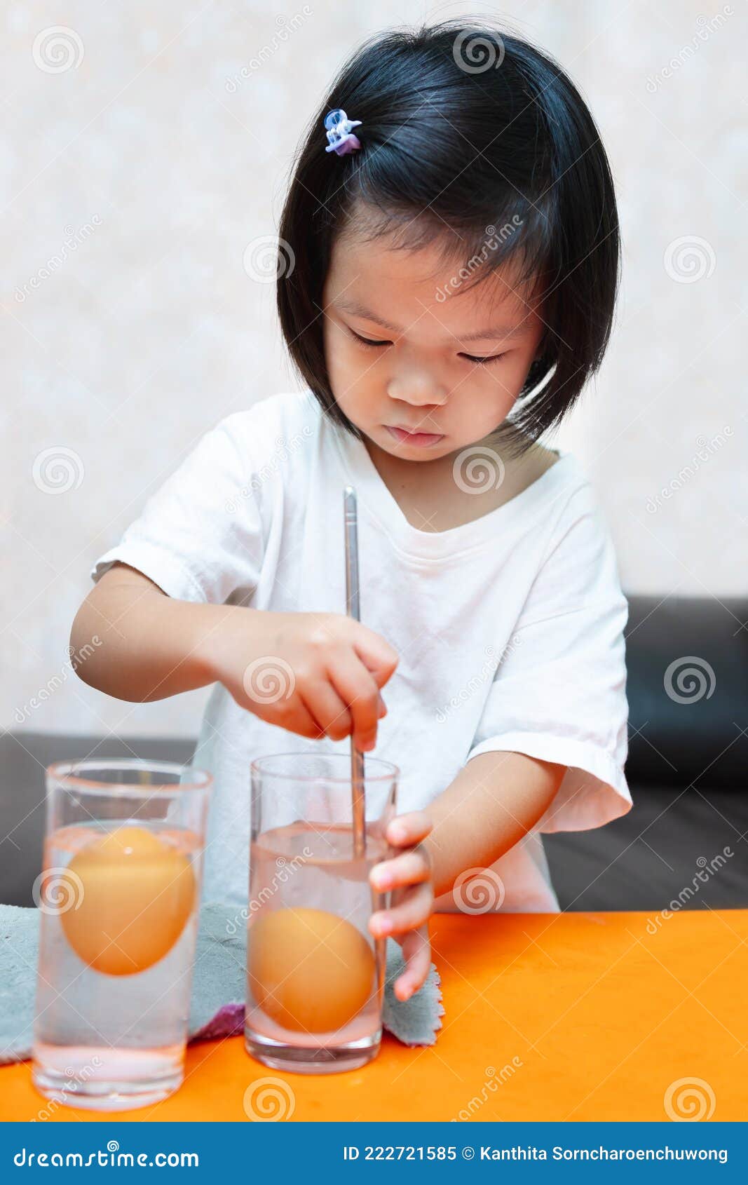 368 Experiment Eggs Stock Photos - Free & Royalty-Free Stock Photos ...