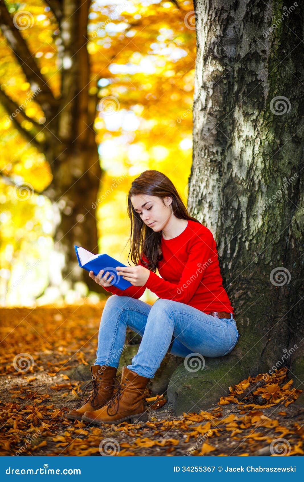 Student learning outdoor stock image. Image of female - 34255367