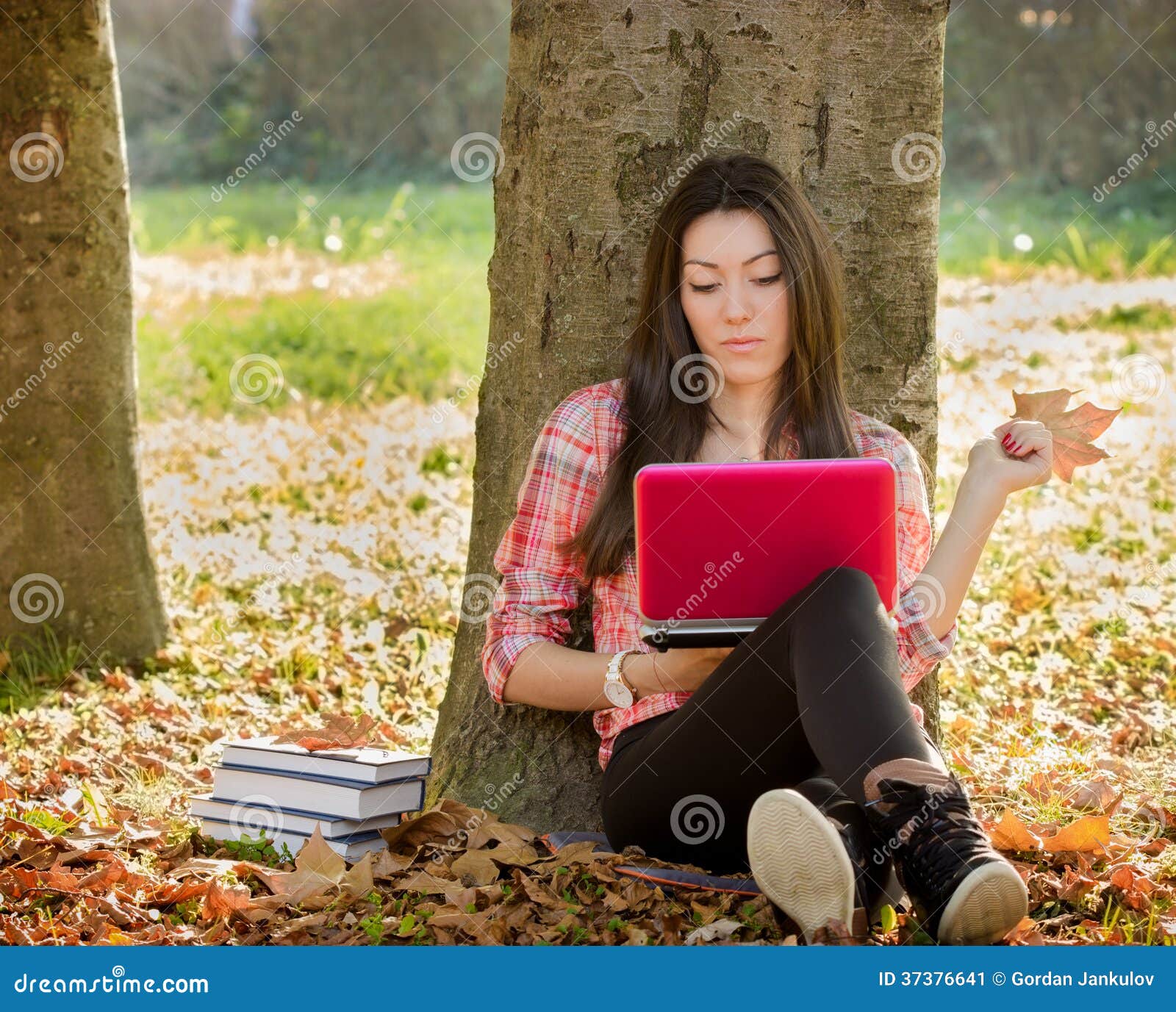 Student Learning - Using Laptop Stock Image - Image of lifestyle ...
