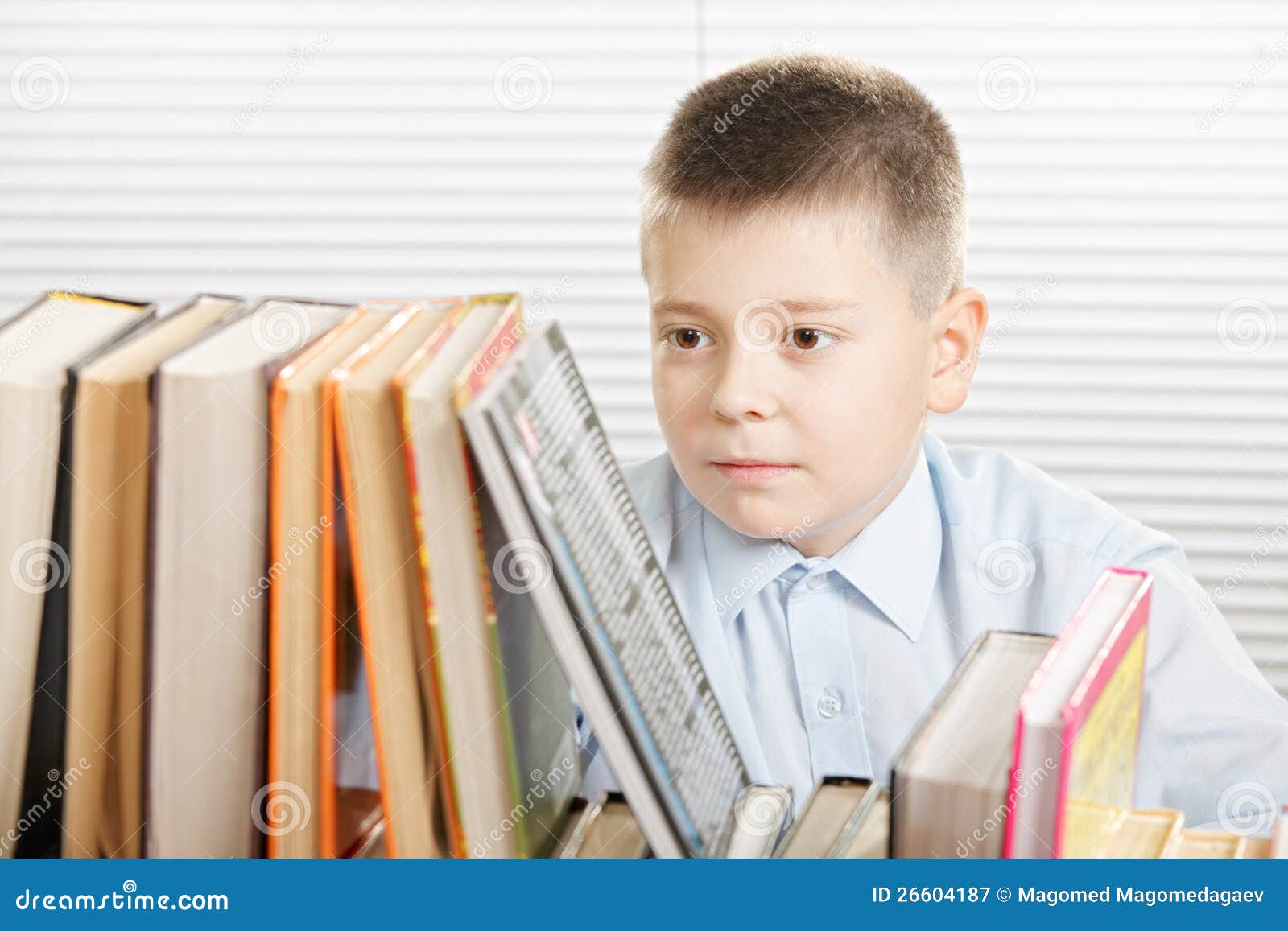 Student looking at books stock image. Image of examining - 26604187