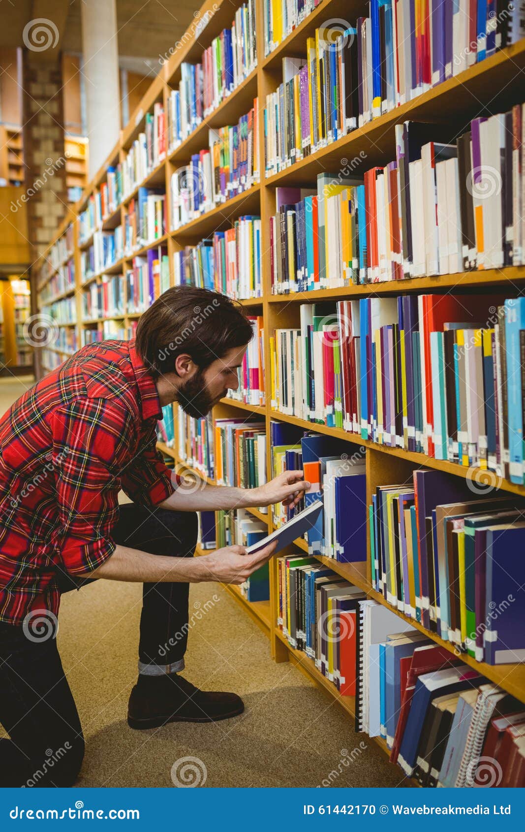 Student Picking a Book from Shelf in Library Stock Photo - Image of ...