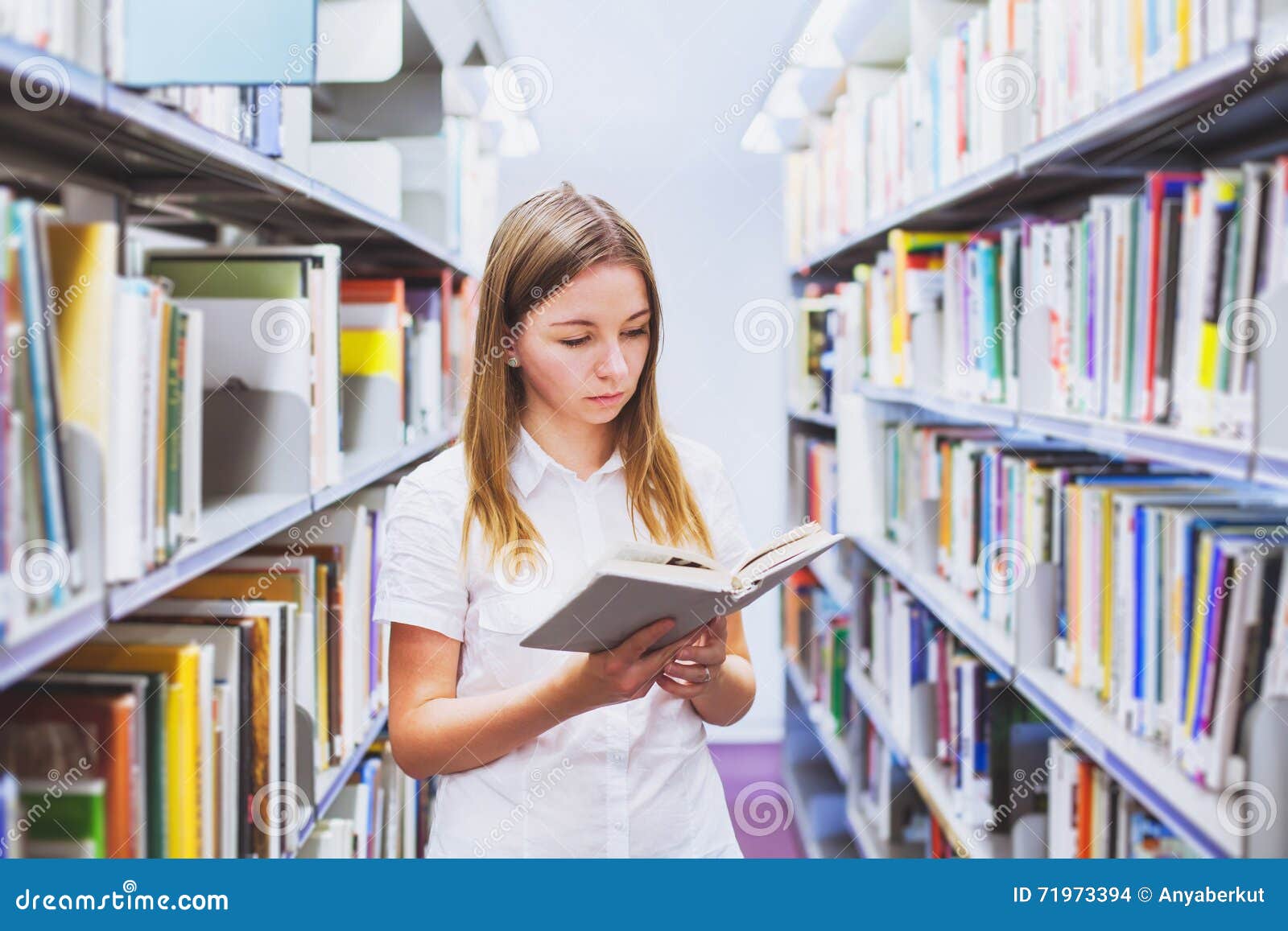 Student Reading Book in Library Stock Photo - Image of library ...