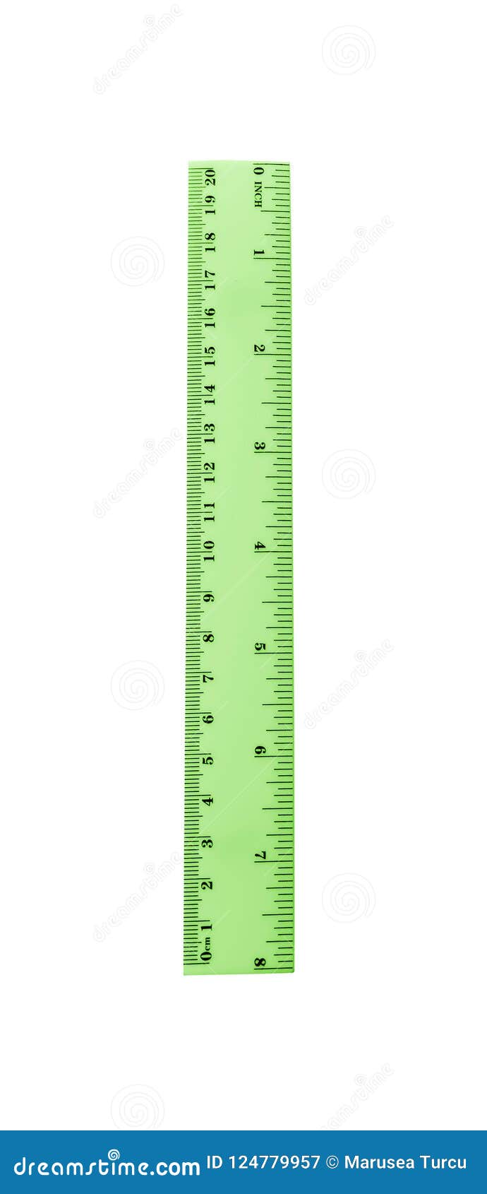 Student`s Ruler Isolated on White Background Stock Illustration ...