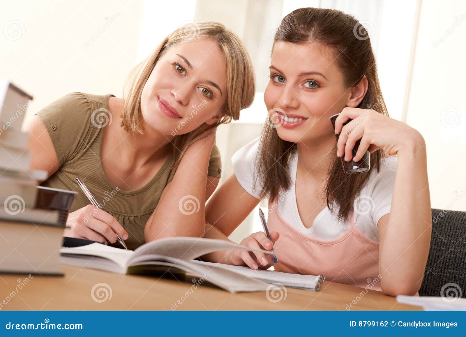 Student Series - Two Students Studying Home Stock Photo - Image of ...
