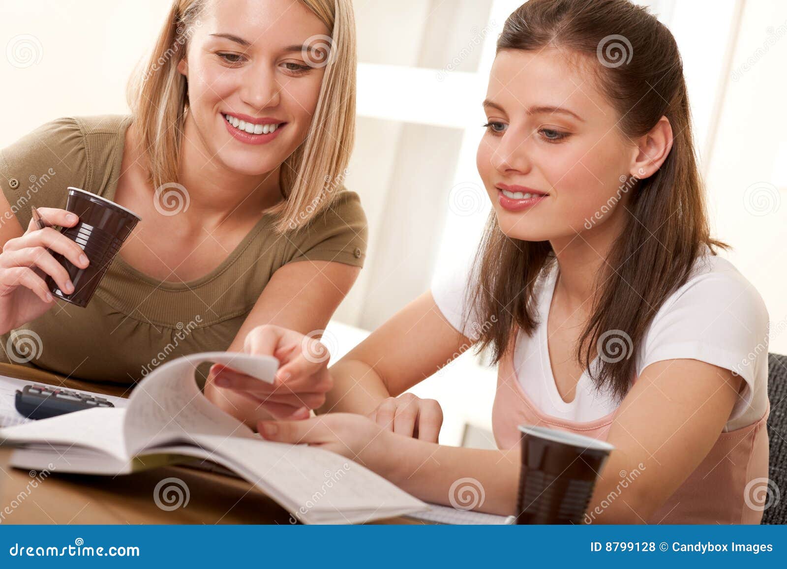 Student Series - Two Students Studying Together Stock Photo - Image of ...