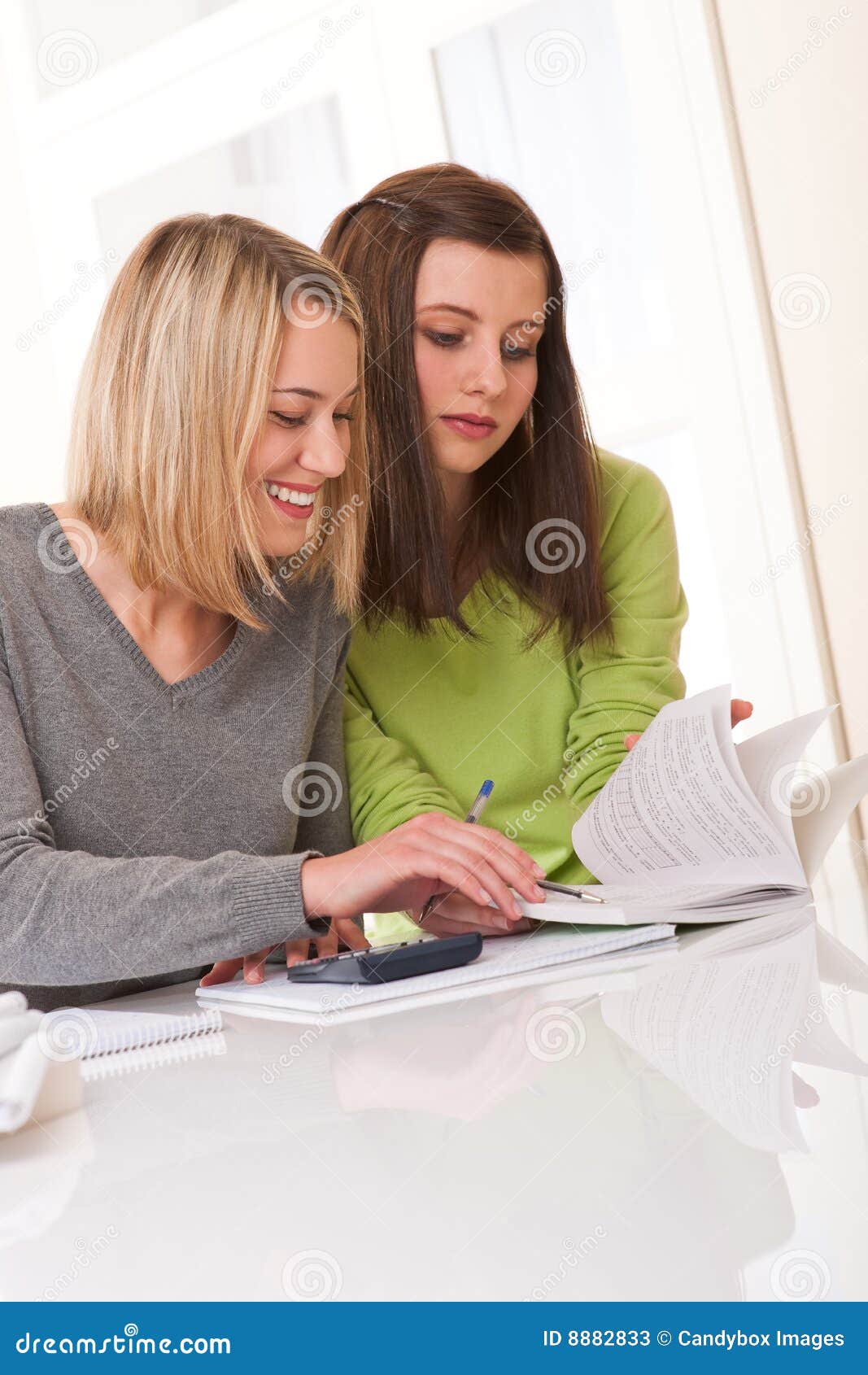 Student Series - Two Students Writing Homework Stock Image - Image of ...