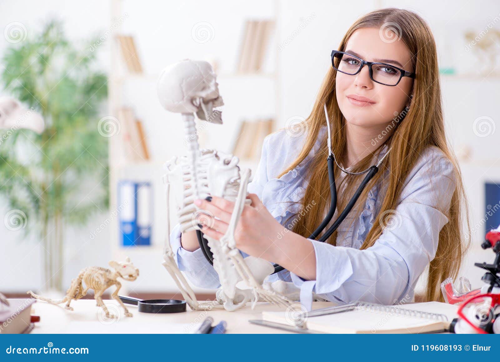 The Student Sitting in Classroom and Studying Skeleton Stock Image ...