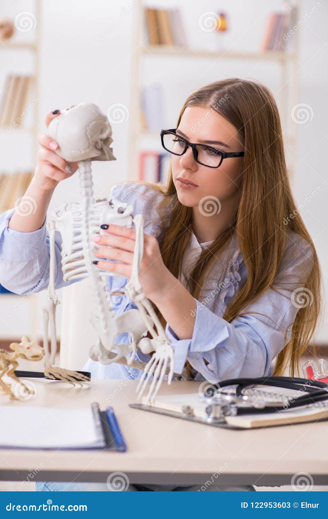 The Student Sitting in Classroom and Studying Skeleton Stock Image ...