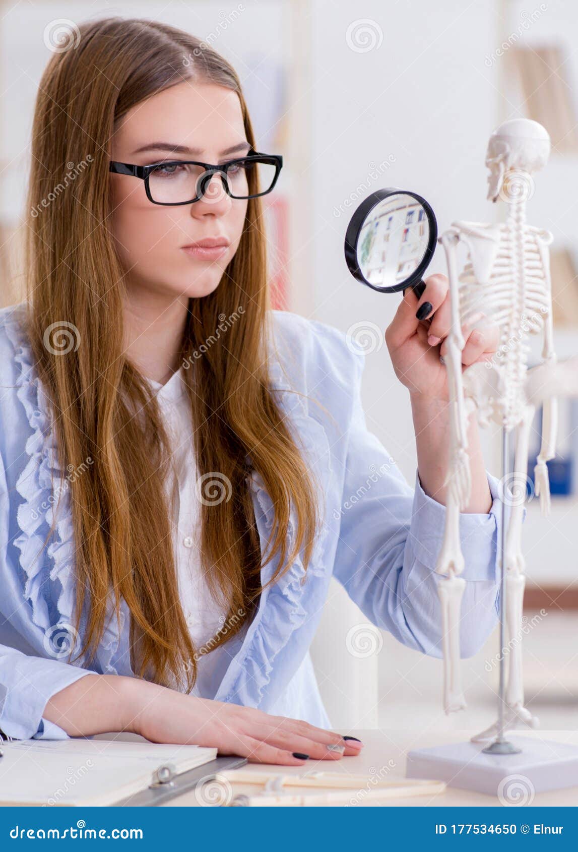 Student Sitting in Classroom and Studying Skeleton Stock Photo - Image ...