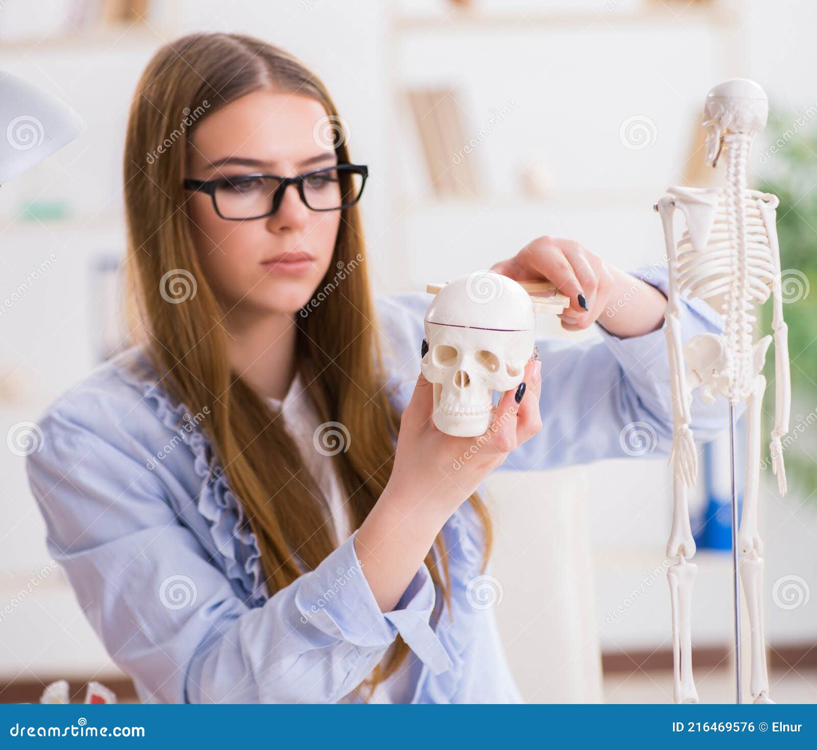 Student Sitting in Classroom and Studying Skeleton Stock Photo - Image ...