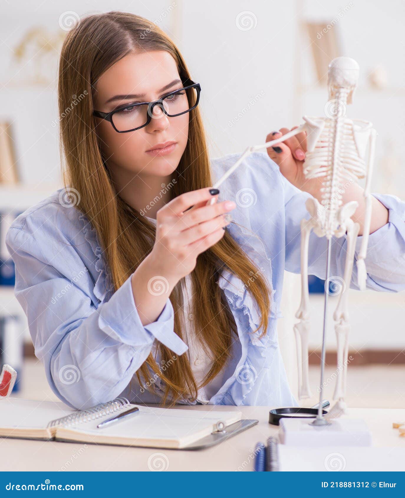 Student Sitting in Classroom and Studying Skeleton Stock Photo - Image ...