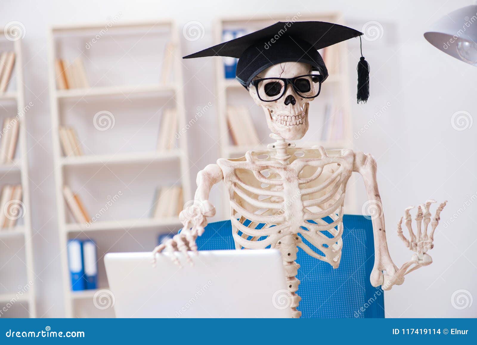 The Student Skeleton Preparing for Exams Stock Photo - Image of exam ...