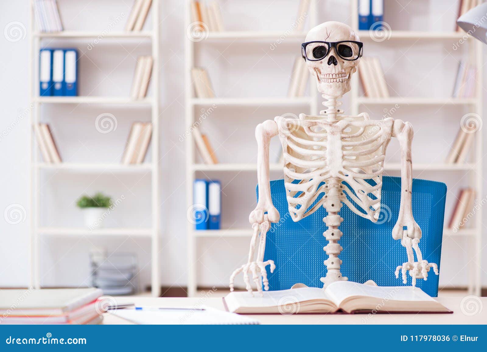 The Student Skeleton Preparing for Exams Stock Photo - Image of ...