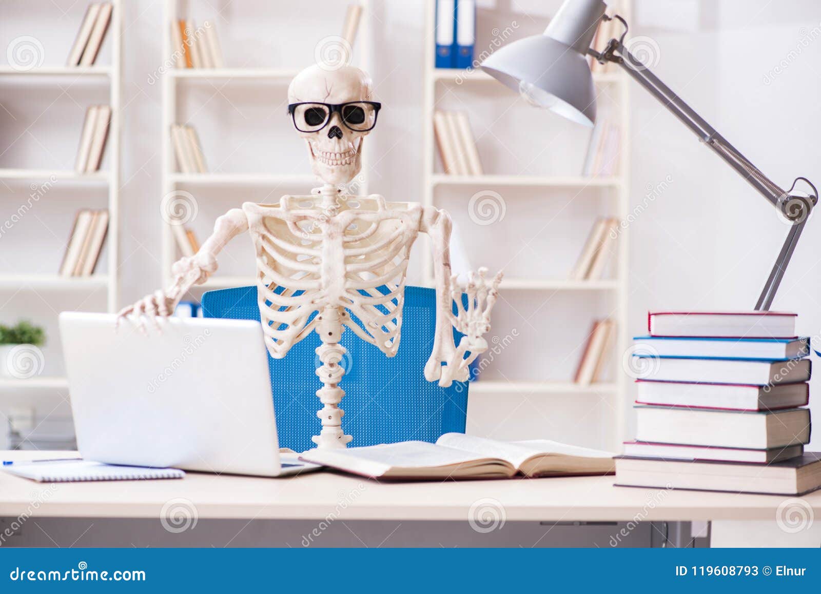 The Student Skeleton Preparing for Exams Stock Image - Image of online ...