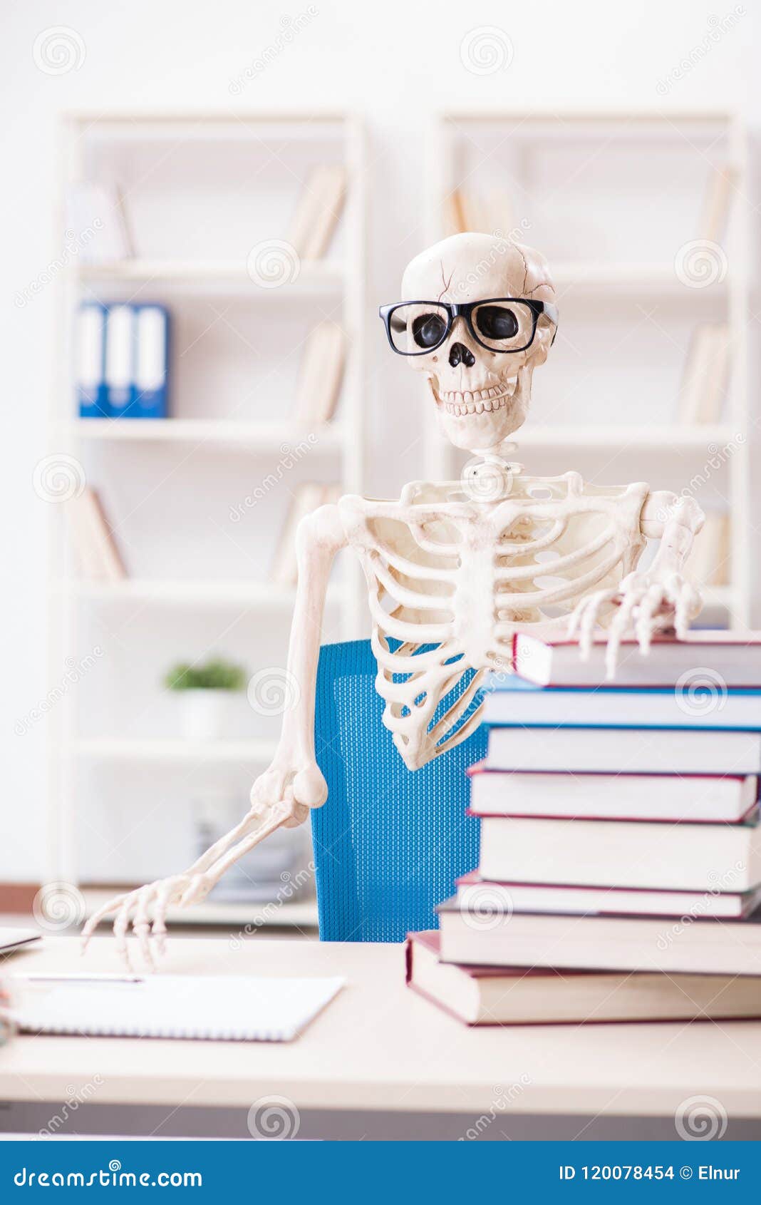 The Student Skeleton Preparing for Exams Stock Photo - Image of ...