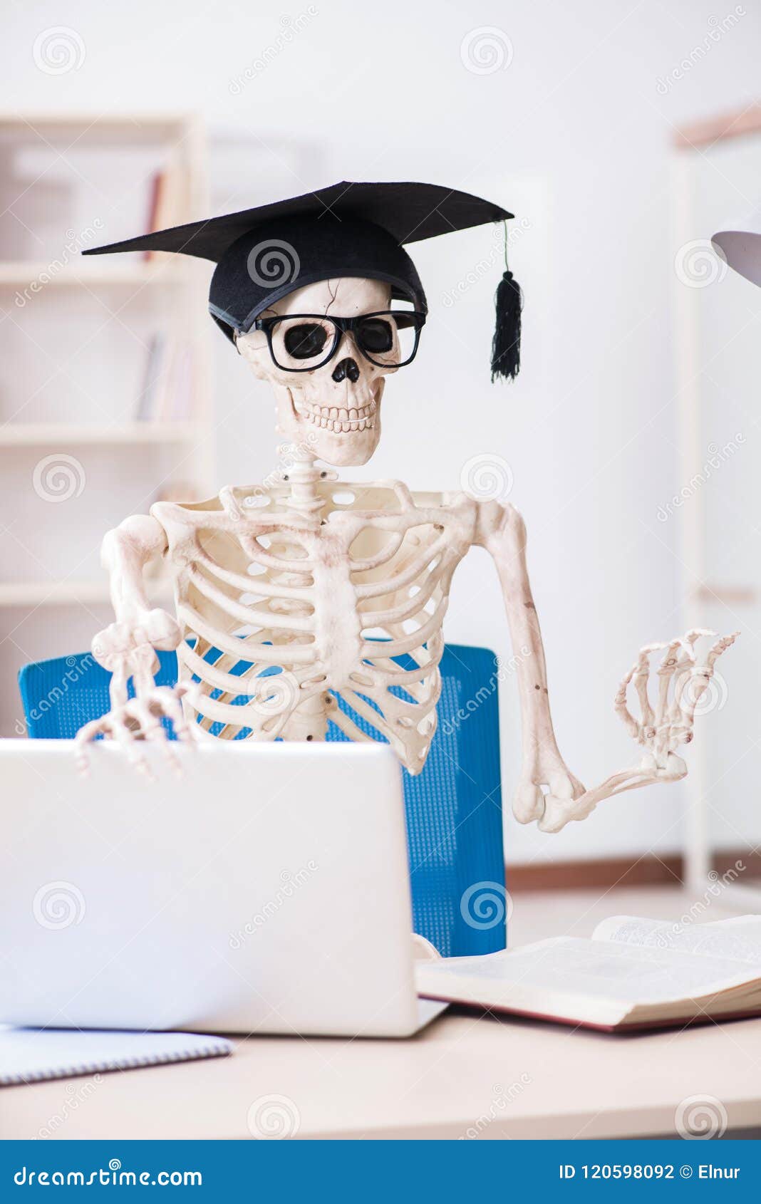 The Student Skeleton Preparing for Exams Stock Photo - Image of human ...