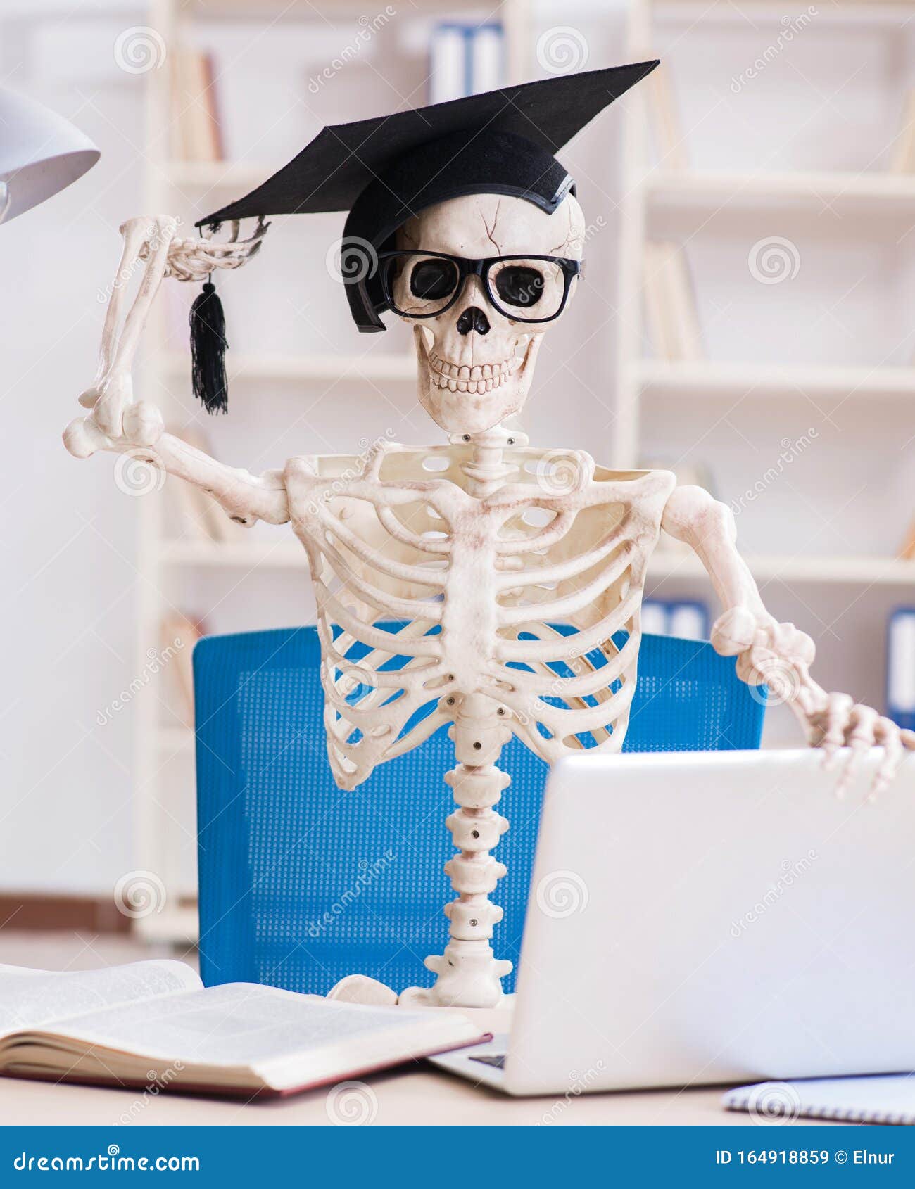 Student Skeleton Preparing for Exams Stock Image - Image of online ...