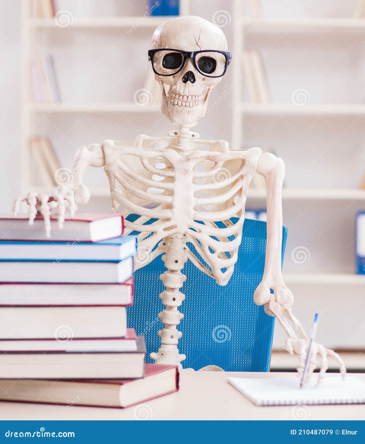Student Skeleton Preparing for Exams Stock Image - Image of pressure ...