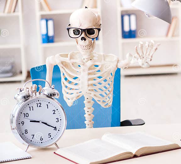 Student Skeleton Preparing for Exams Stock Image - Image of academic ...