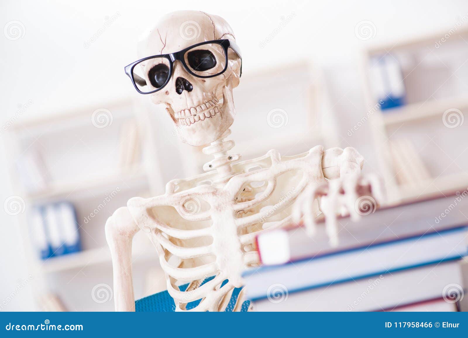 The Student Skeleton Preparing for Exams Stock Photo - Image of ...