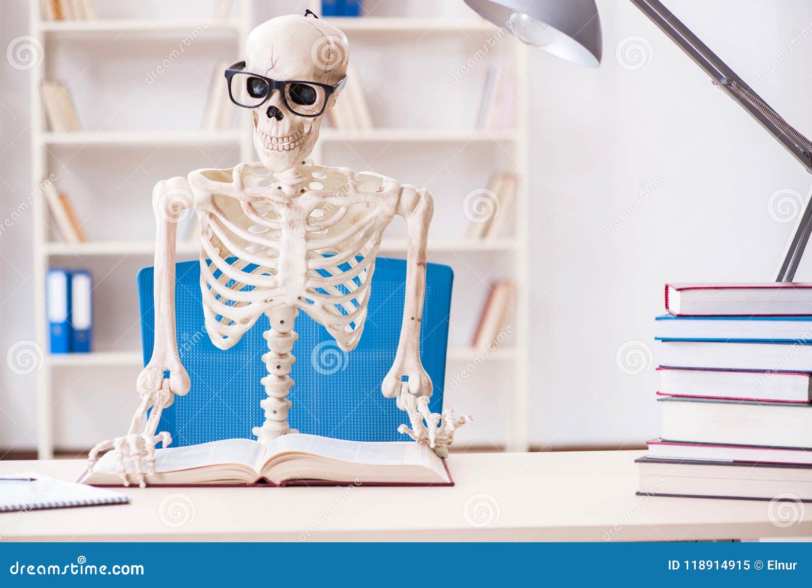 The Student Skeleton Preparing for Exams Stock Image - Image of dead ...