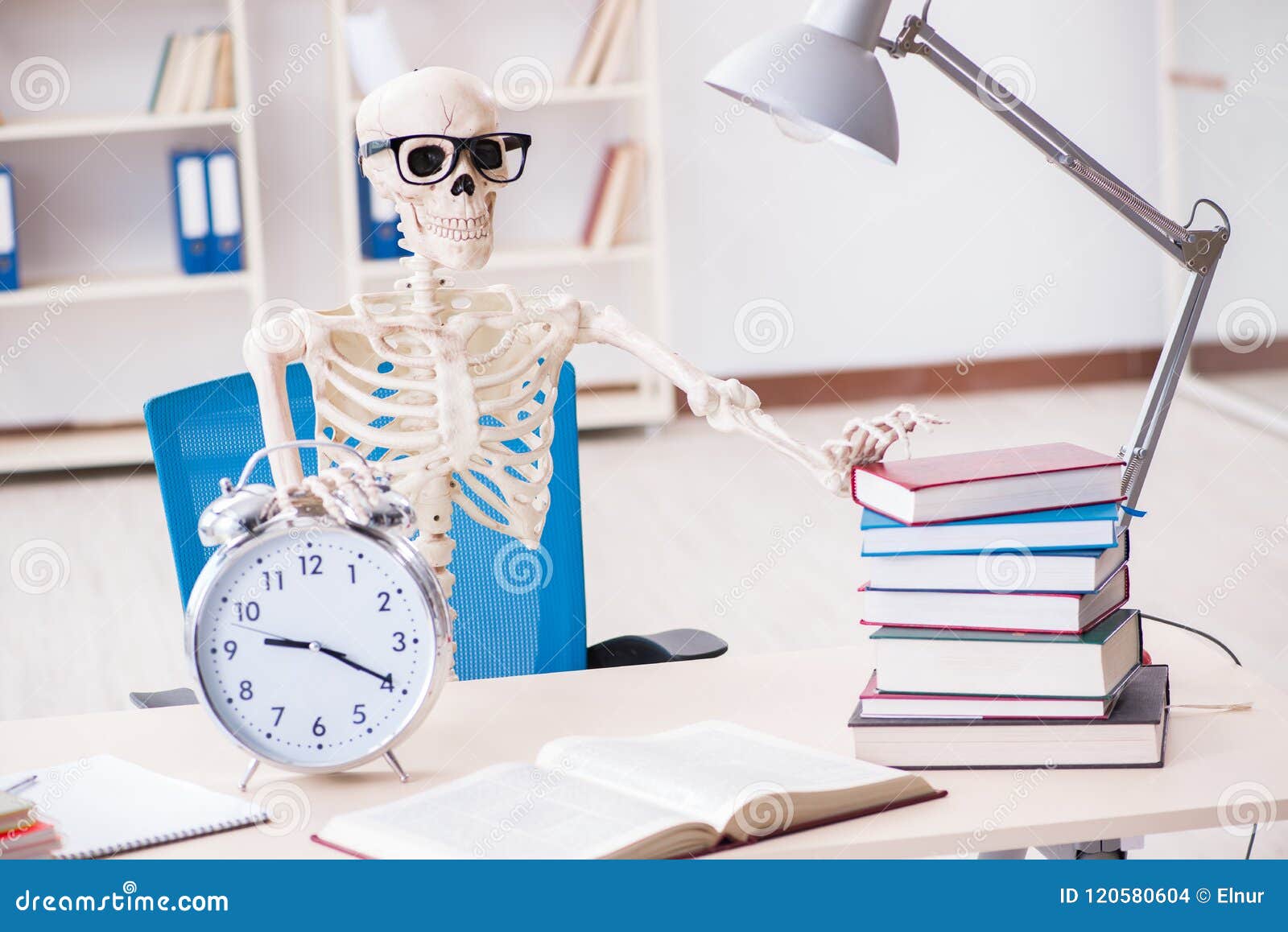 The Student Skeleton Preparing for Exams Stock Photo - Image of library ...