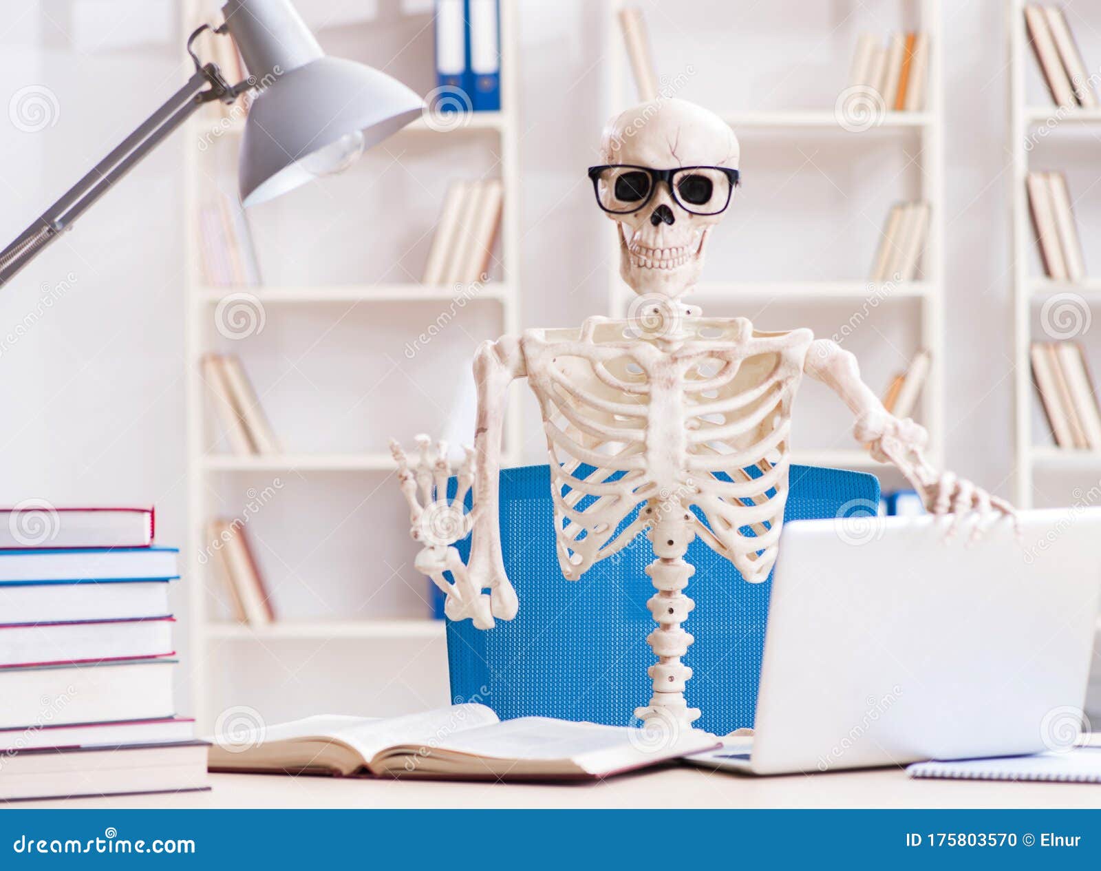 Student Skeleton Preparing for Exams Stock Photo - Image of overloaded ...