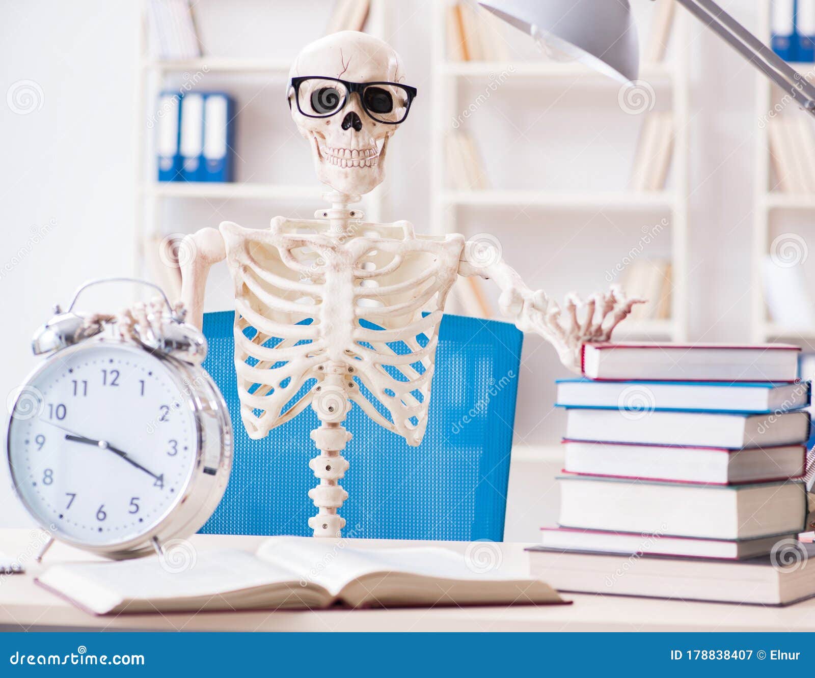 Student Skeleton Preparing for Exams Stock Image - Image of intelligent ...