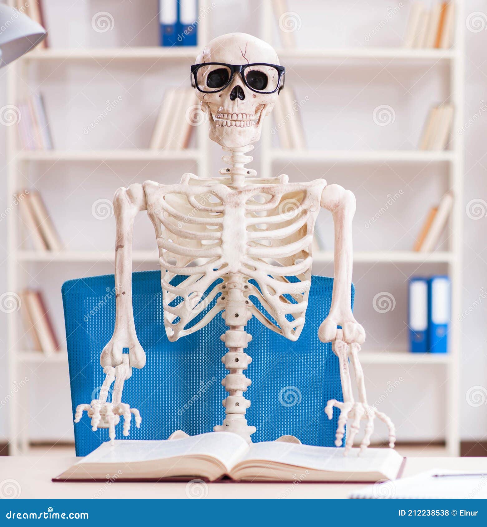 Student Skeleton Preparing for Exams Stock Photo - Image of death ...