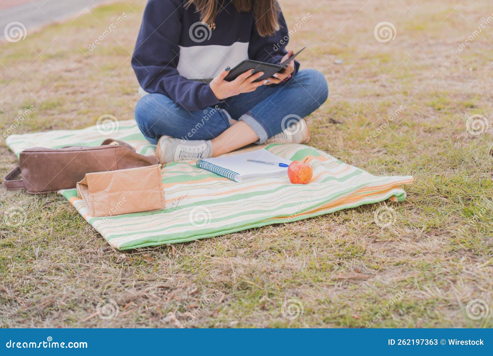 Student Studying during the Picnic in the Park Stock Image - Image of ...