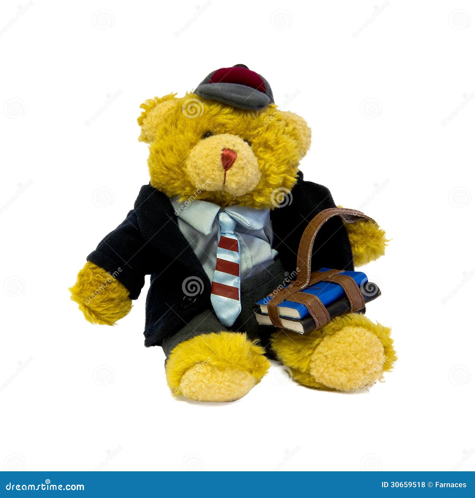 Student teddy bear stock photo. Image of clear, gift - 30659518