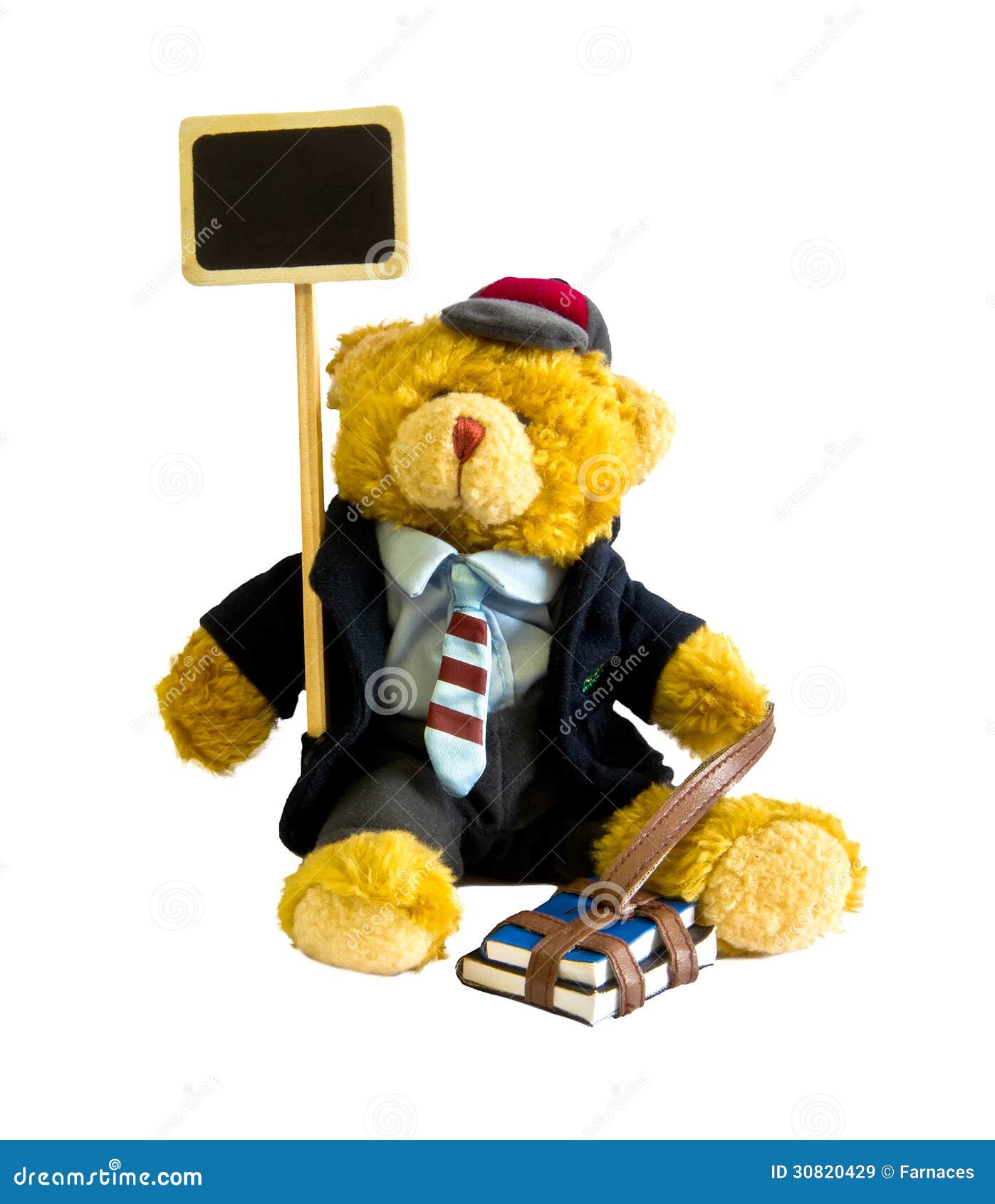 Student teddy bear stock image. Image of childhood, student - 30820429