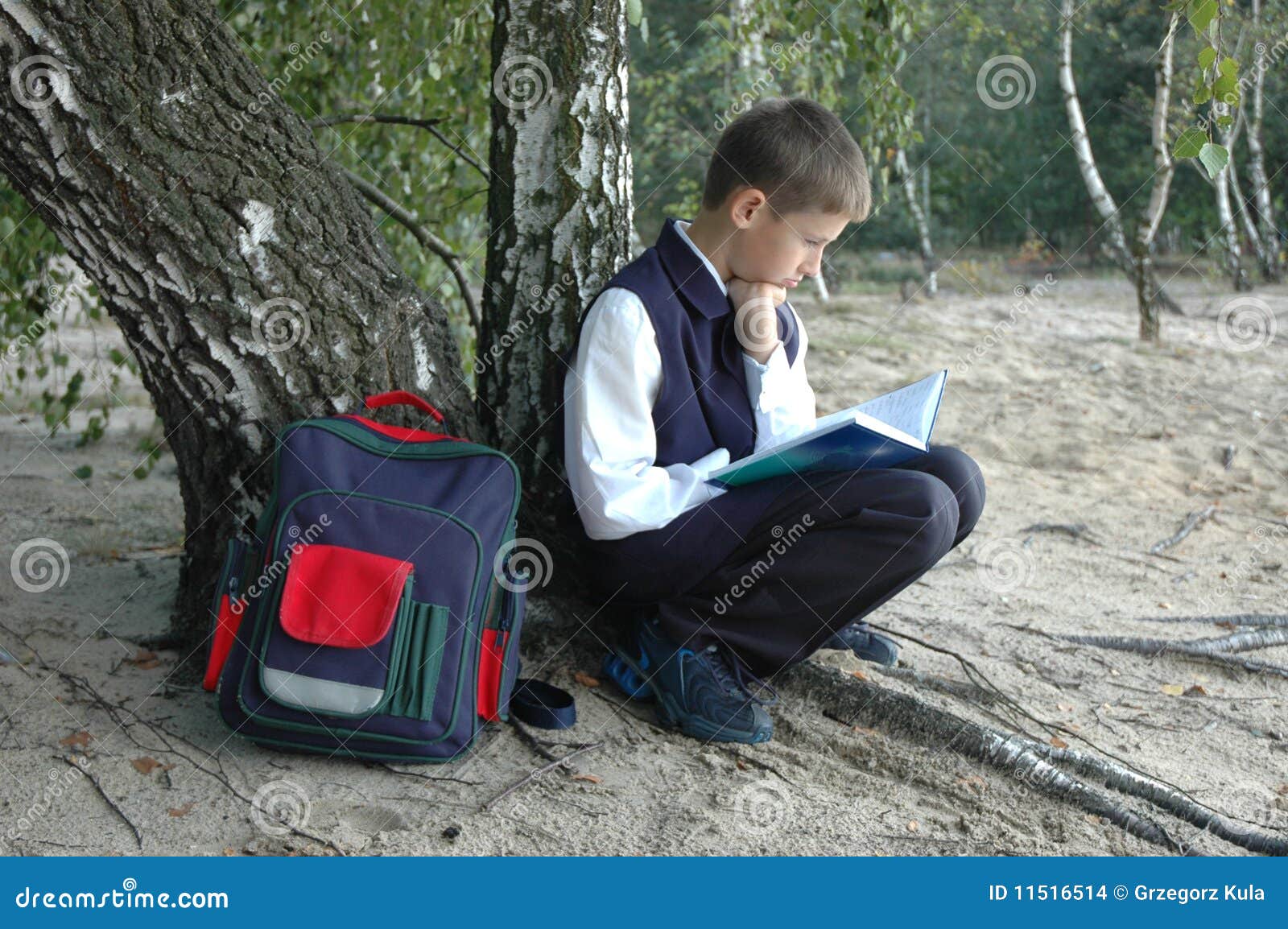 Student-truant stock photo. Image of hooky, dropout, classes - 11516514