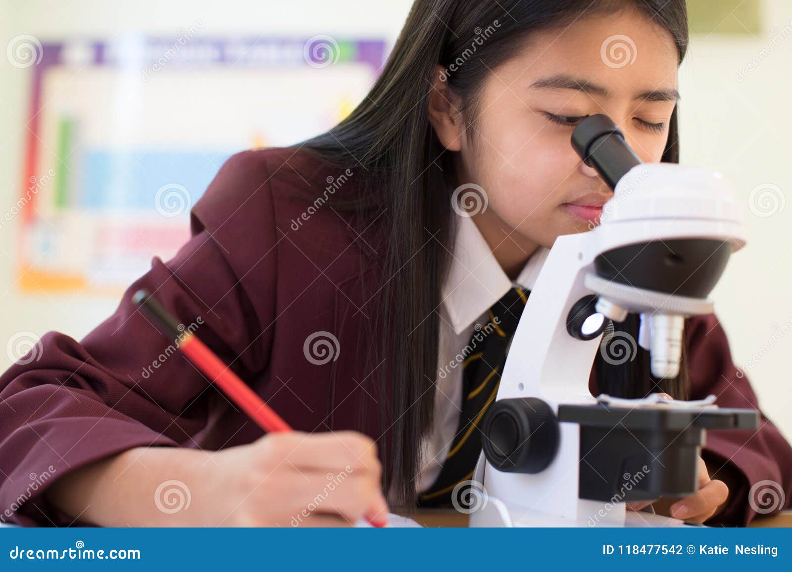 Female Student in Uniform Using Microscope in Science Class Stock Photo ...